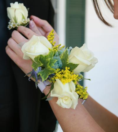 Program Search | Programming Librarian